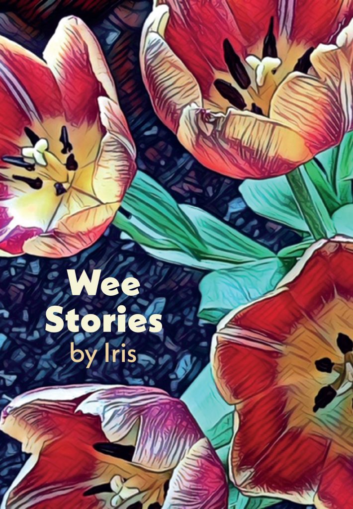 Wee Stories by Iris | Lumphanan Press